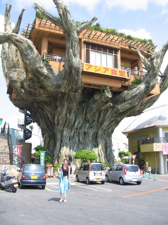 54 top idées de cabanes dans les arbres