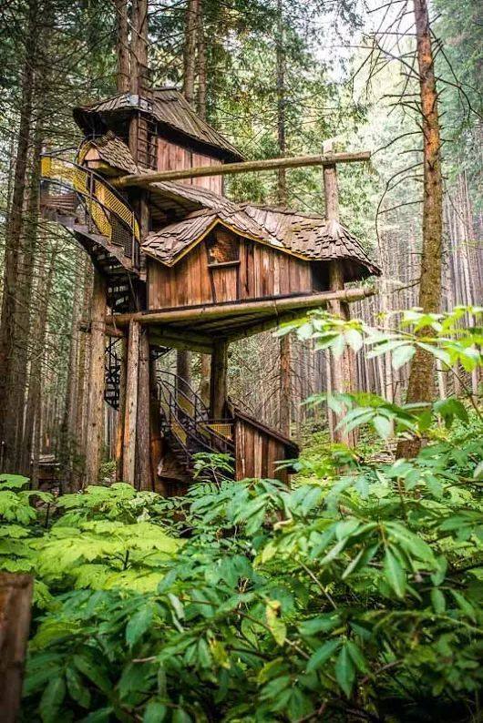 54 top idées de cabanes dans les arbres