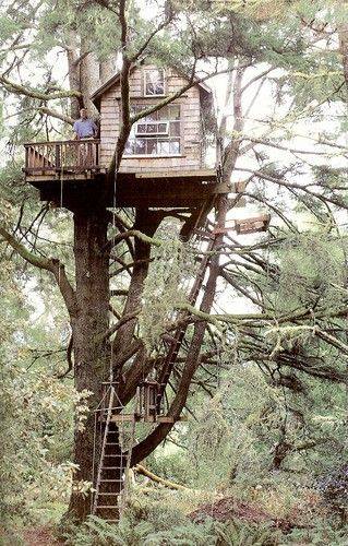 54 top idées de cabanes dans les arbres